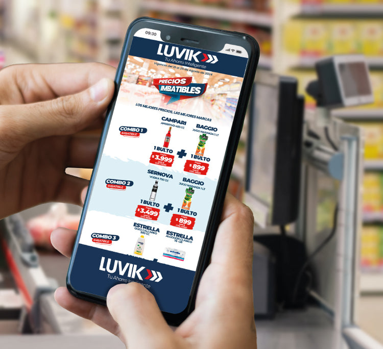 Venta y Distribución Mayorista de Productos de Consumo Masivo – Luvik S.A